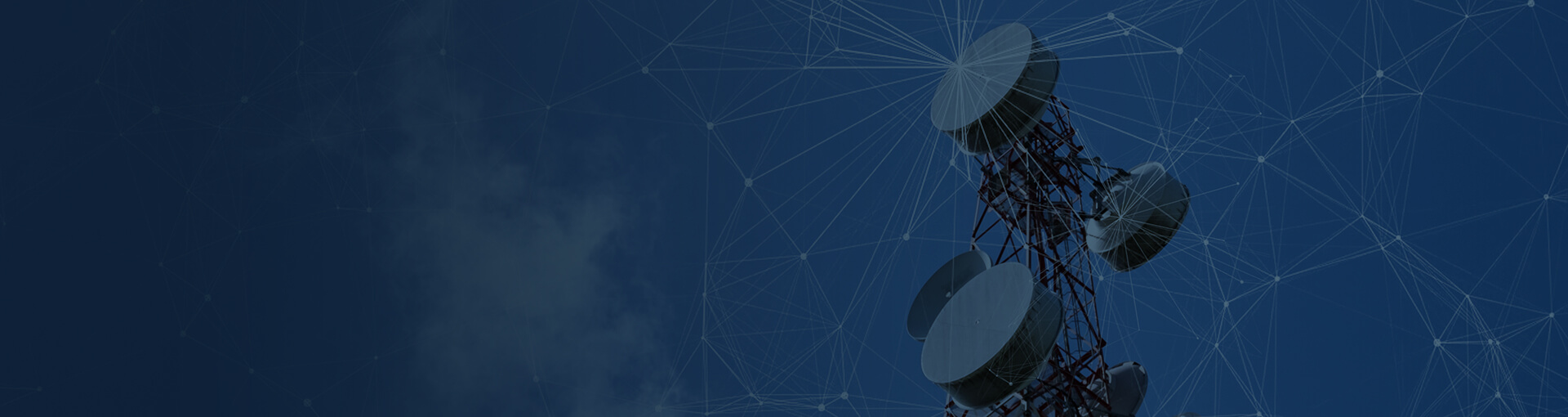 Valuation of Telecommunication Assets | Quadrant Economics LLC